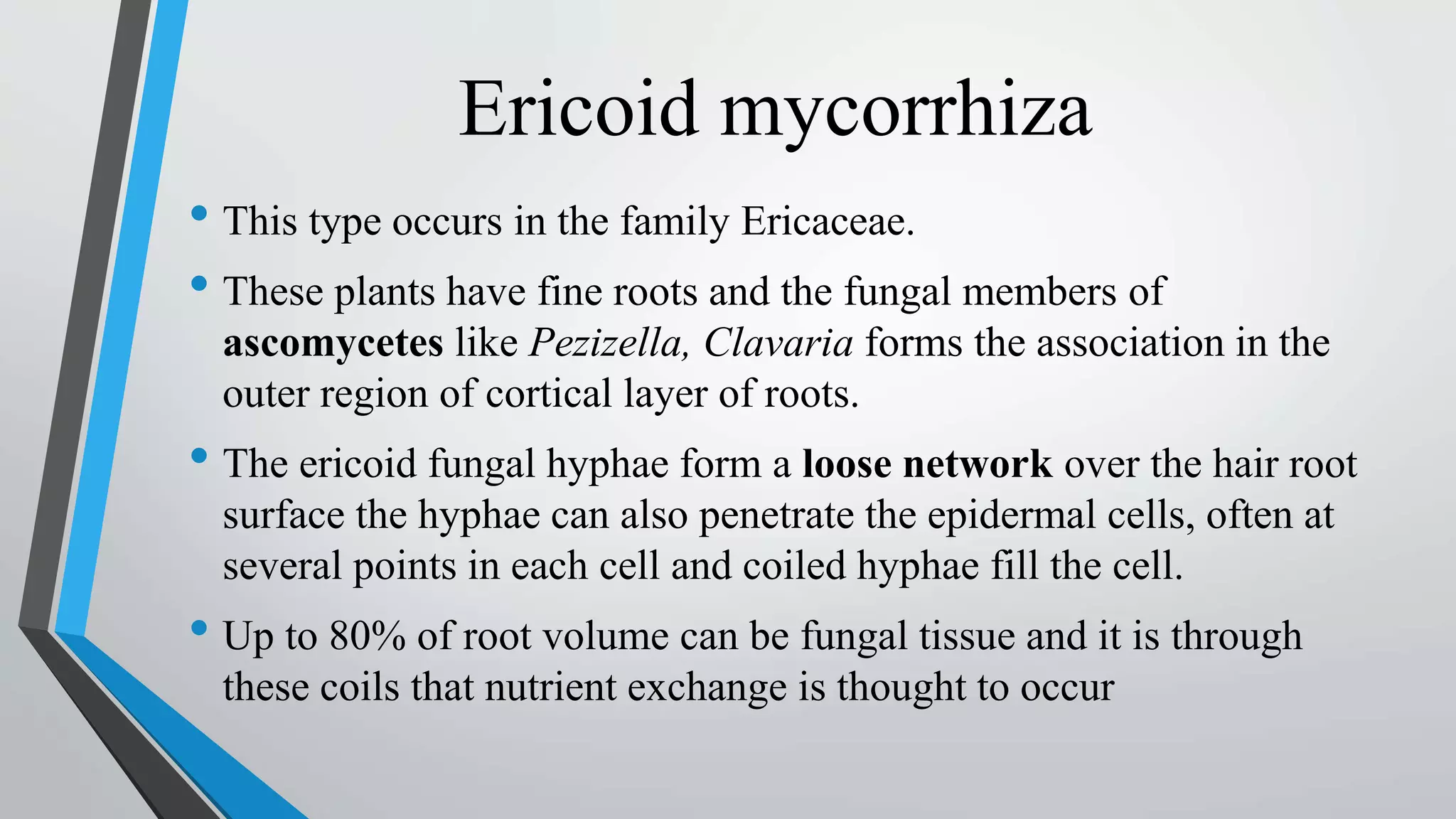 Mycorrhiza | PPTX