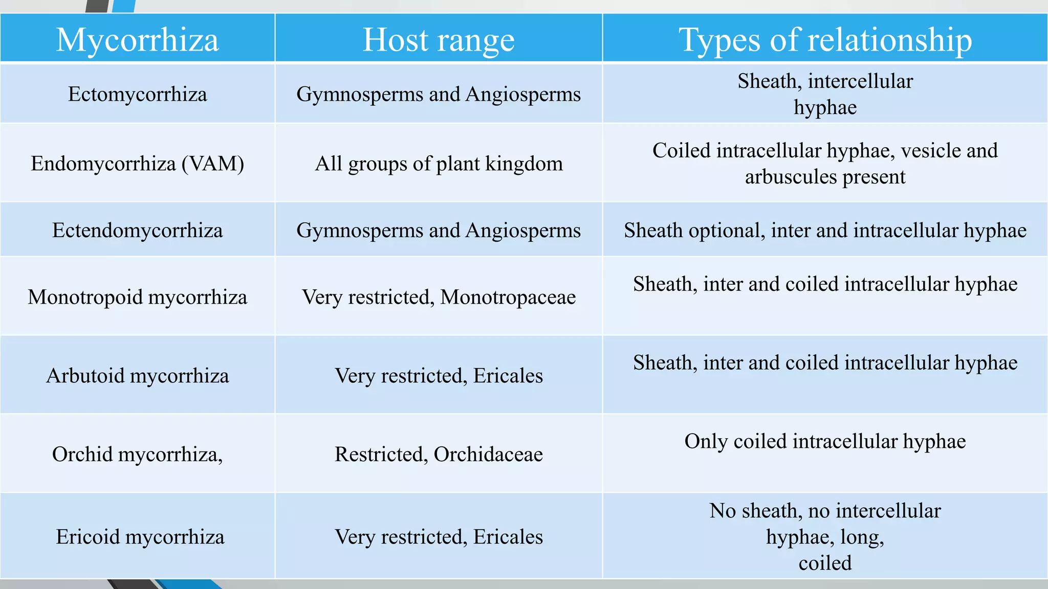 Mycorrhiza | PPTX