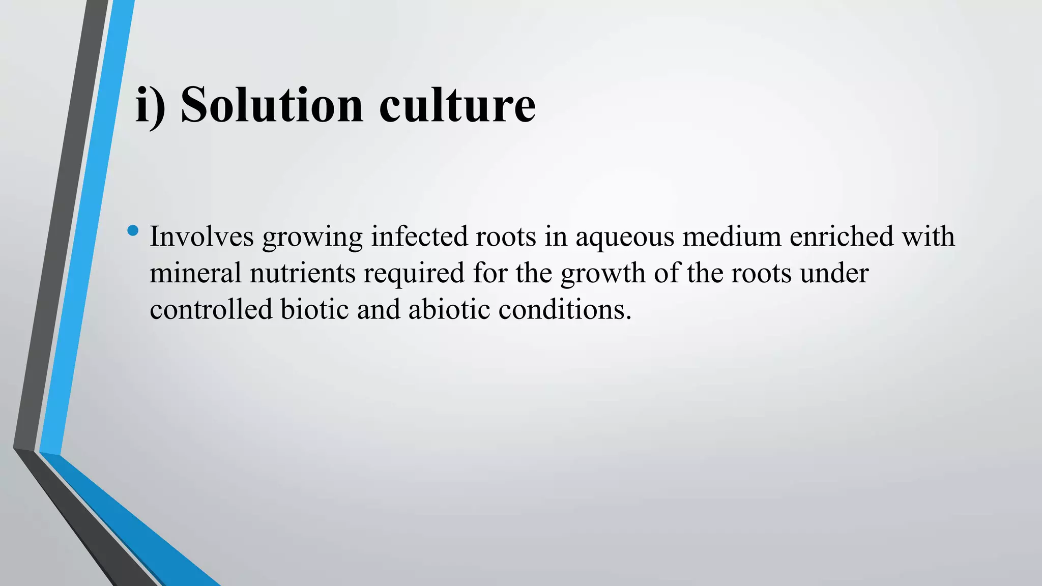 Mycorrhiza | PPTX