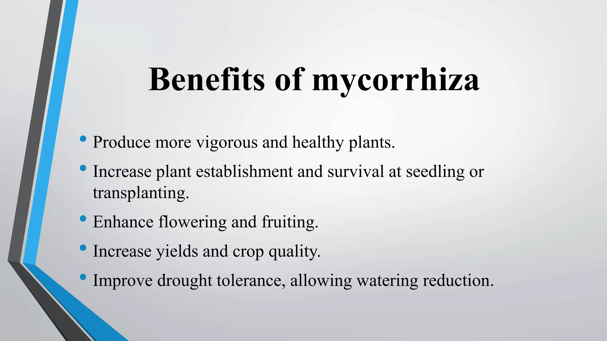 Mycorrhiza | PPTX