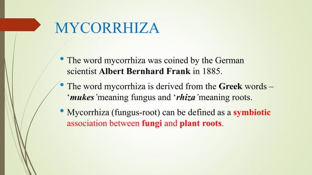 Mycorrhiza | PPTX