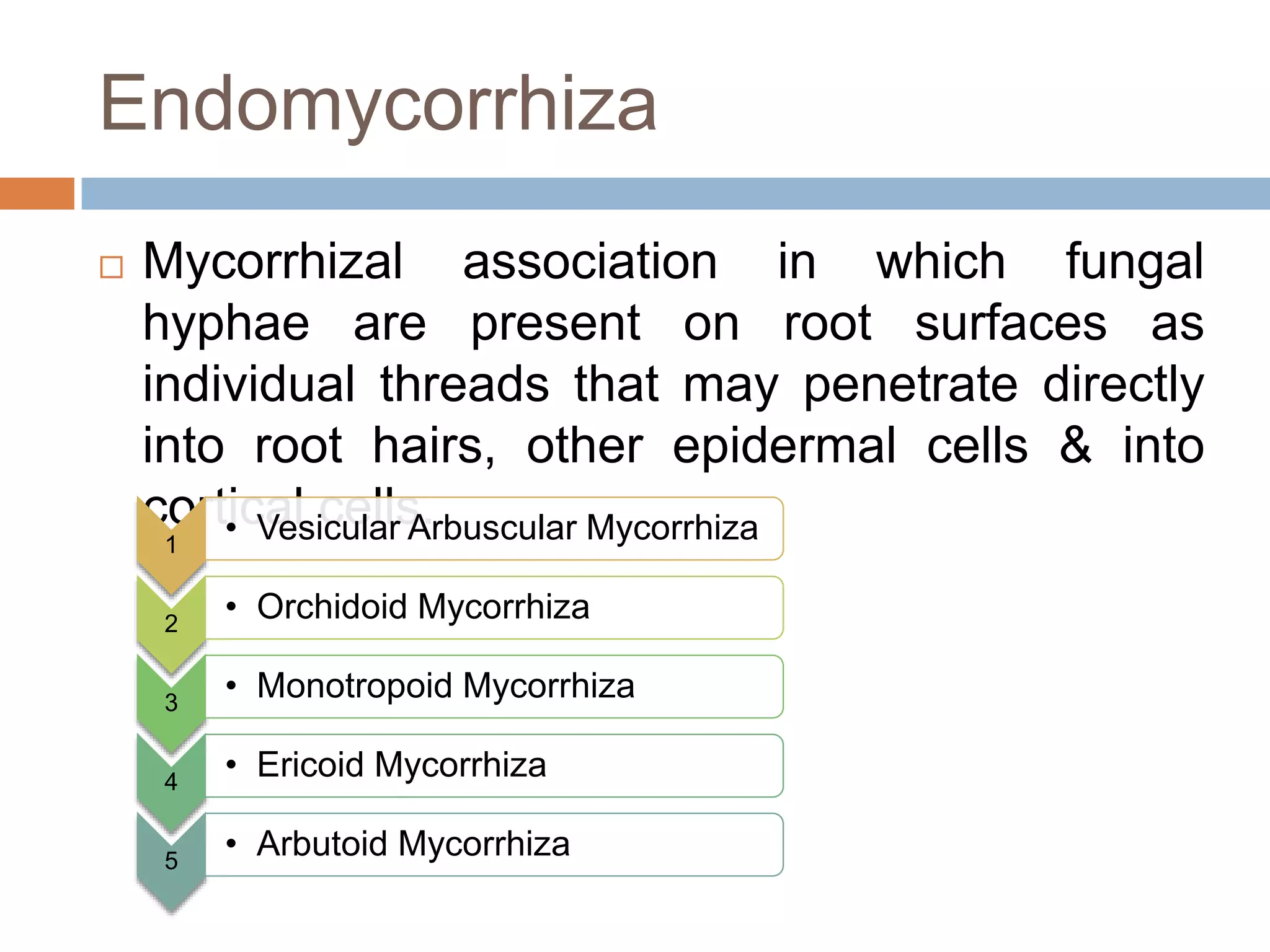 Mycorrhiza and its types | PPTX