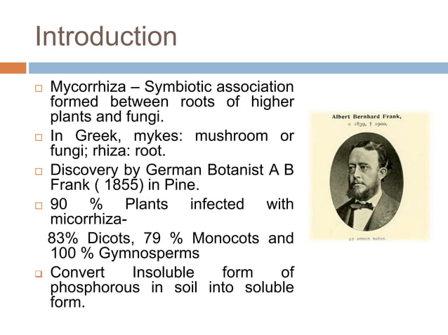 Mycorrhiza and its types | PPTX | Agriculture | Industries