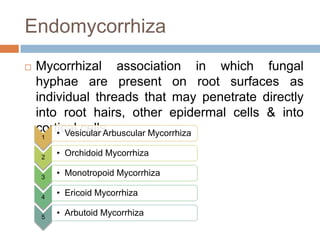 Mycorrhiza and its types | PPTX