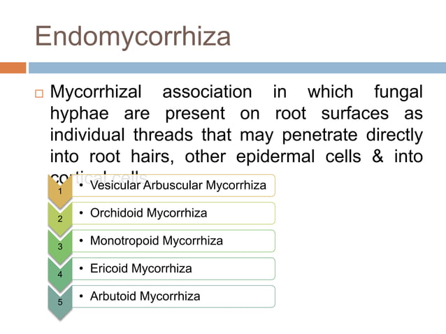 Mycorrhiza and its types | PPTX | Agriculture | Industries