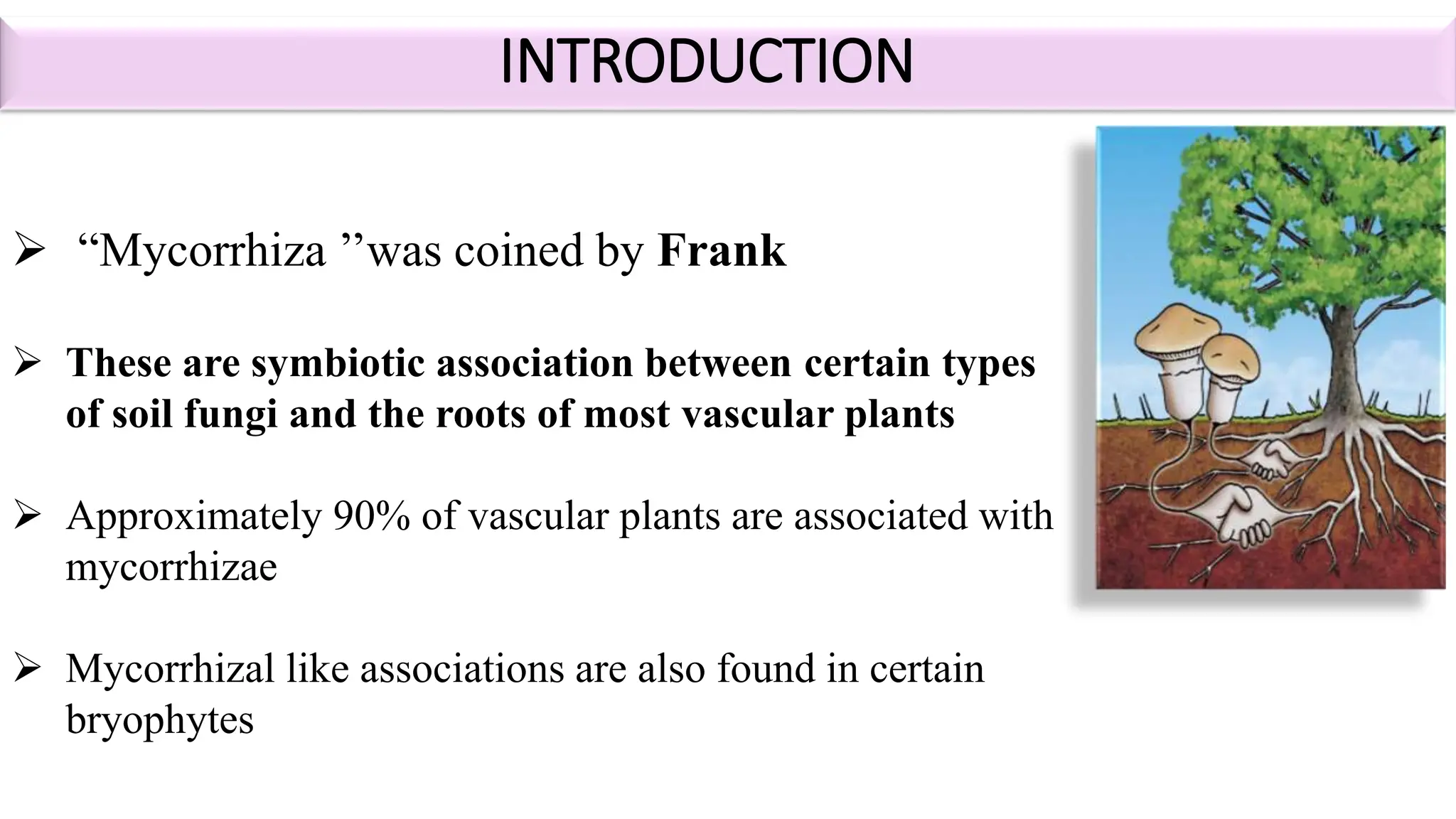 MYCORRHIZA - the symbiotic association of fungus and plants ,types and ...