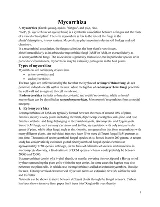Mycorrhiza.docx | Gardening | Home & Garden