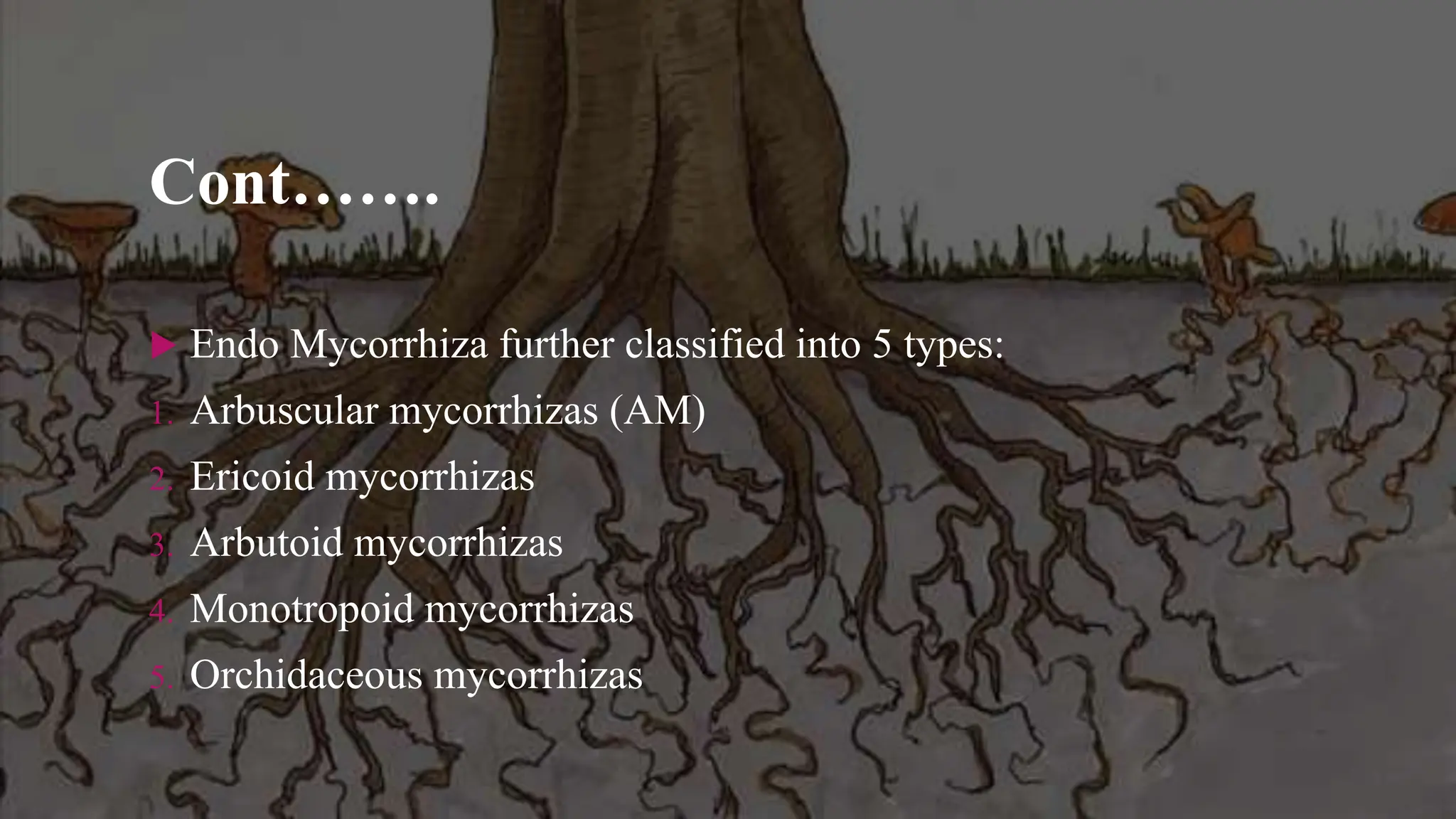 Mycorrhiza and it's types.Ecto-Mycorrhiza | PPTX