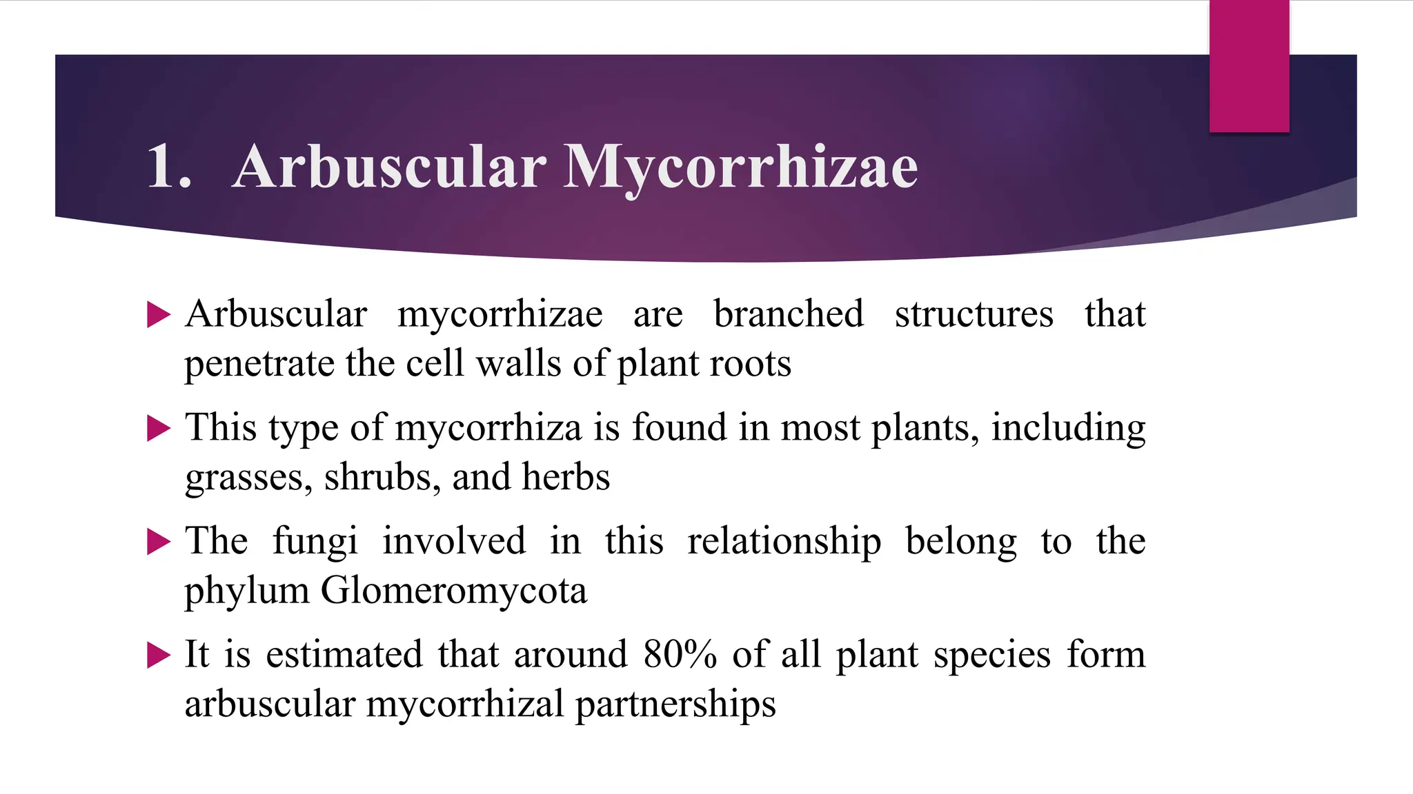 Mycorrhiza and it's types.Ecto-Mycorrhiza | PPTX