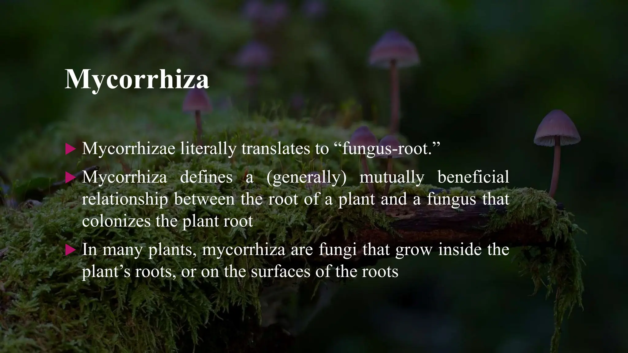 Mycorrhiza and it's types.Ecto-Mycorrhiza | PPTX