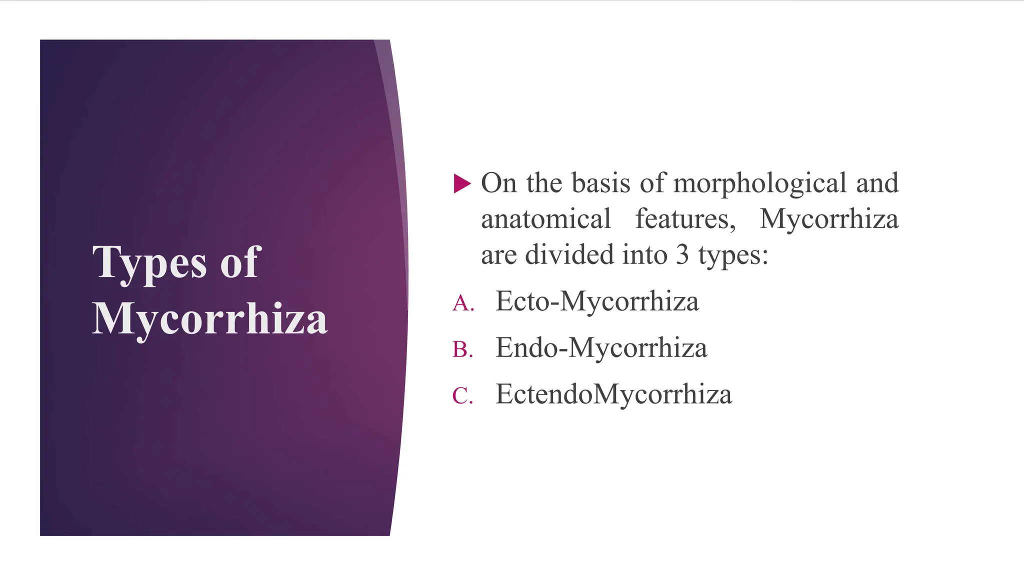 Mycorrhiza and it's types.Ecto-Mycorrhiza | PPTX