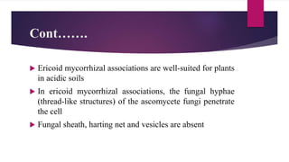 Mycorrhiza and it's types.Ecto-Mycorrhiza | PPTX