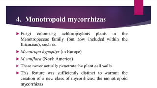 Mycorrhiza and it's types.Ecto-Mycorrhiza | PPTX