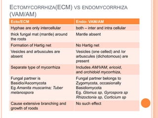 Ecto and endomycorrhizae and their significance | PPTX