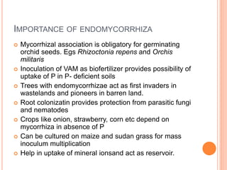 Ecto and endomycorrhizae and their significance | PPTX