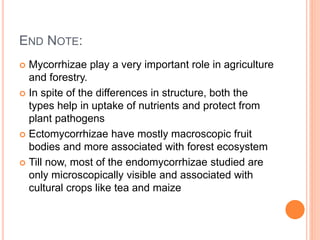 Ecto and endomycorrhizae and their significance | PPTX