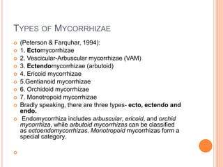 Ecto and endomycorrhizae and their significance | PPTX