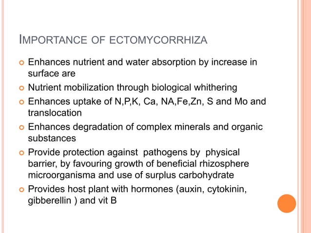 Ecto and endomycorrhizae and their significance | PPTX | Agriculture ...