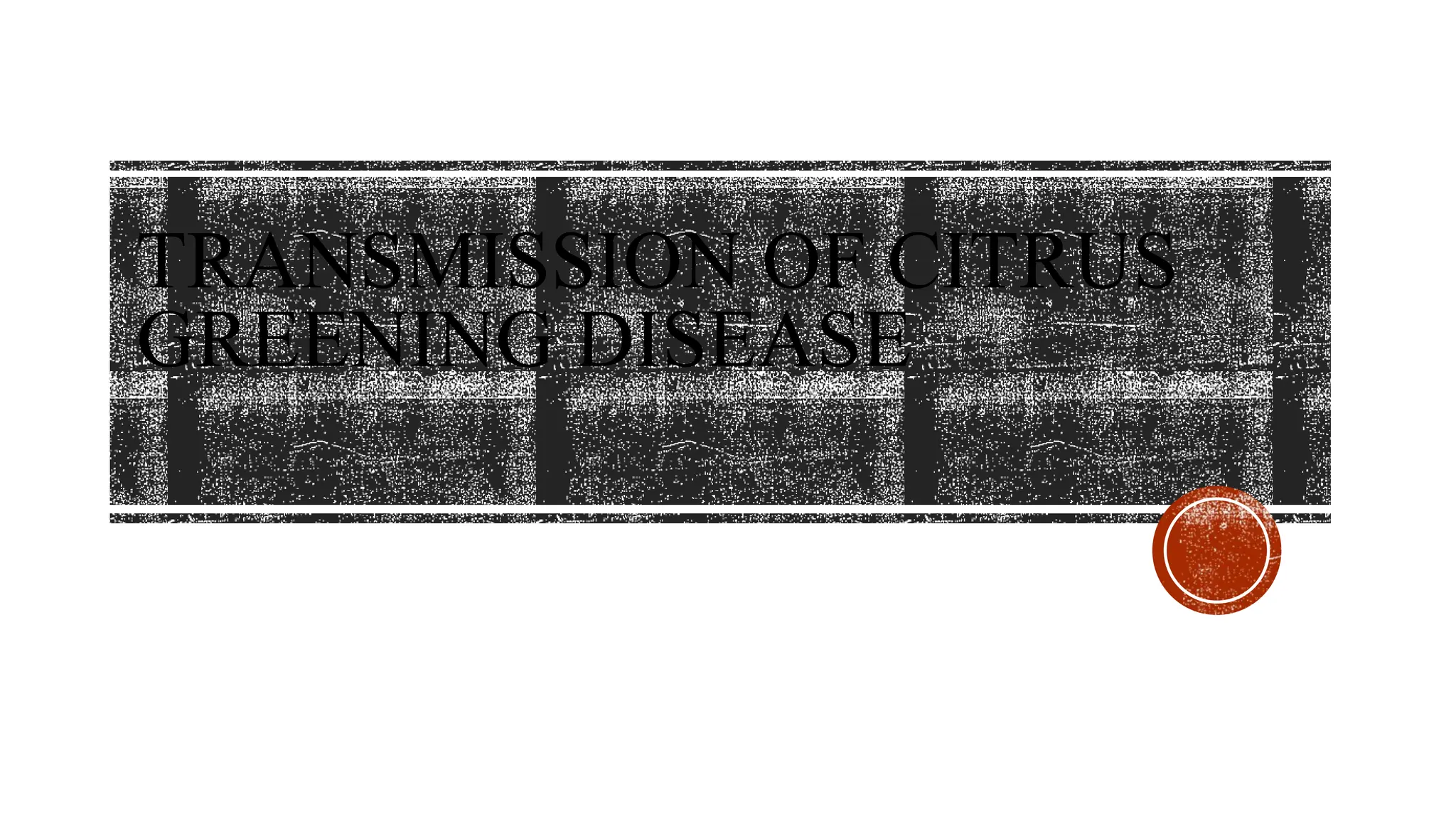 Transmission of citrus greening diseases | PPTX