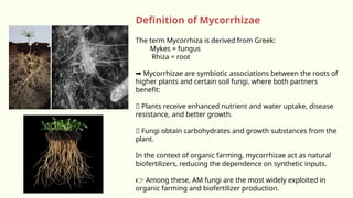 Organic farming and biofertilizer Mycorrhizae | PPTX