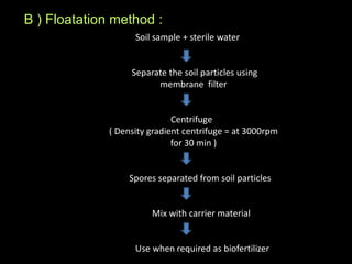 Mycorrhizae types and applications | PPTX