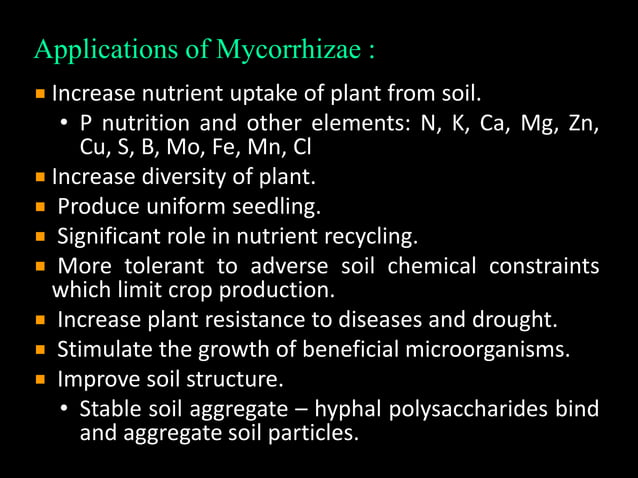 Mycorrhizae types and applications | PPTX | Gardening | Home & Garden