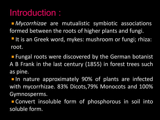 Mycorrhizae types and applications | PPTX | Gardening | Home & Garden