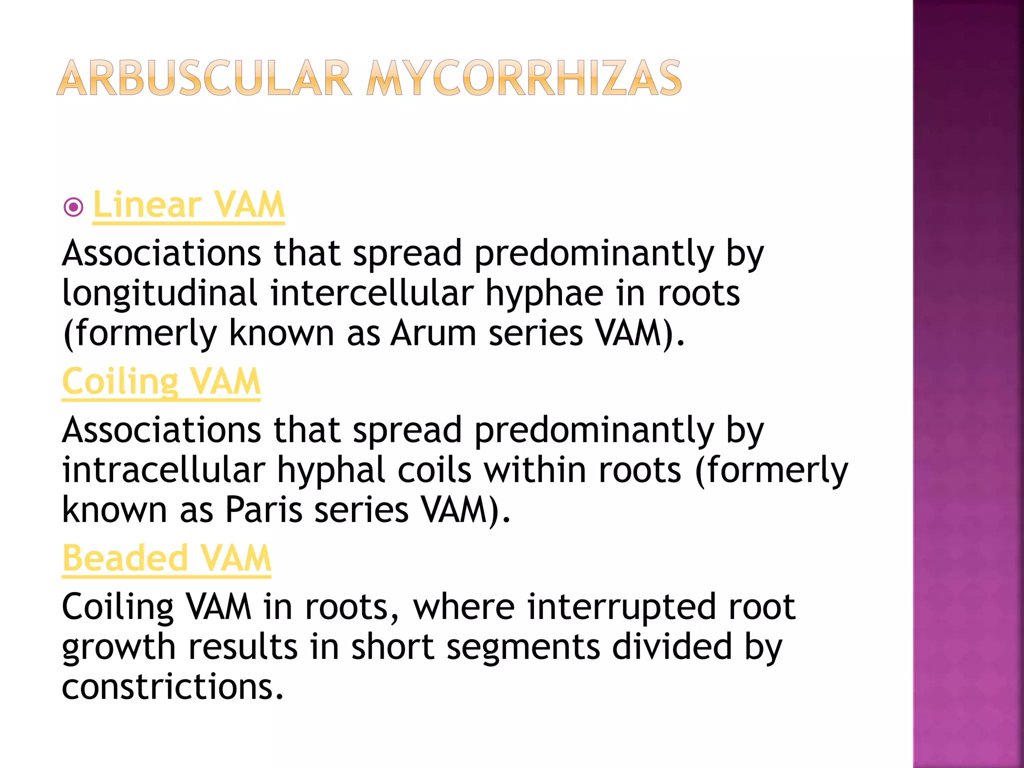 Mycorrhizal association in Plants | PPTX