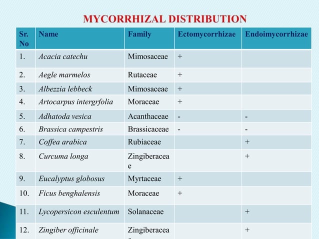 Mycorrhizal association, types of mycorrhizal association,.pdf | Gardening | Home & Garden