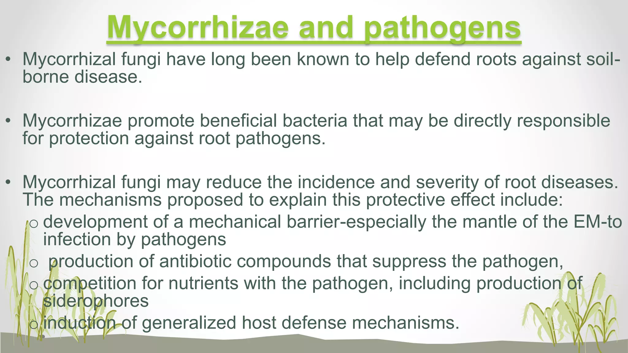 Mycorrhiza Biofertilizer: VAM | PPTX