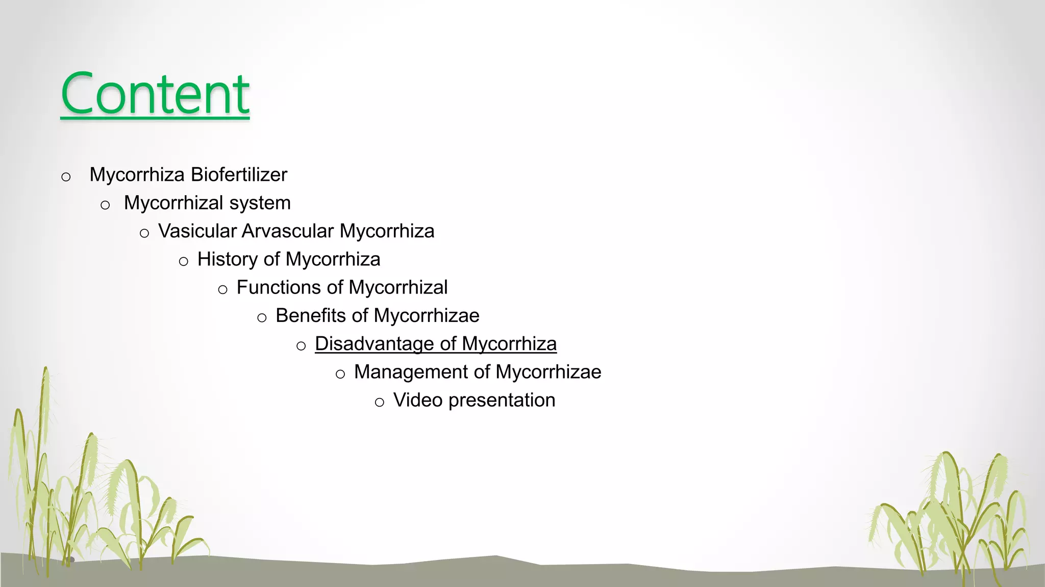 Mycorrhiza Biofertilizer: VAM | PPTX