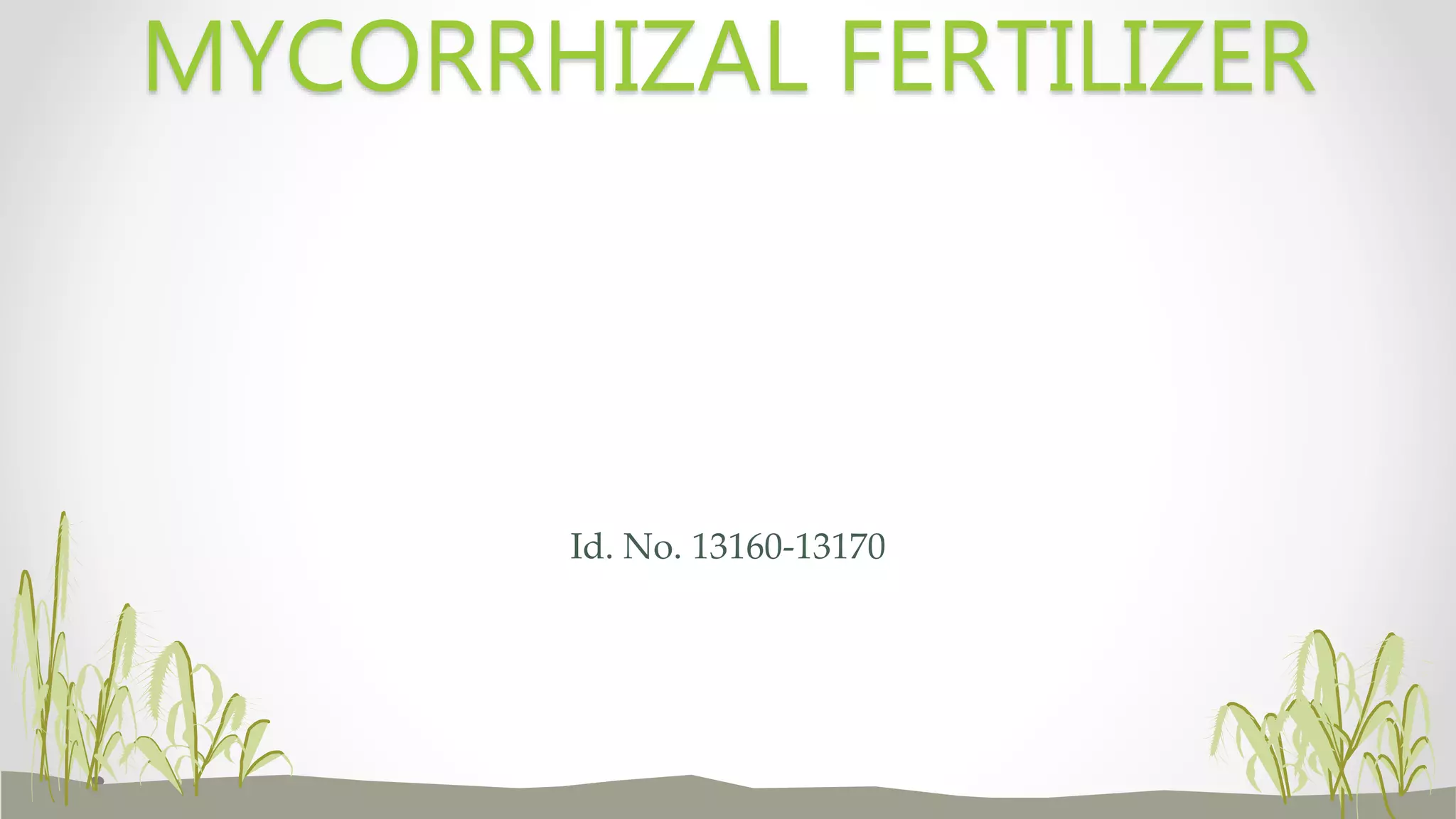 Mycorrhiza Biofertilizer: VAM | PPT
