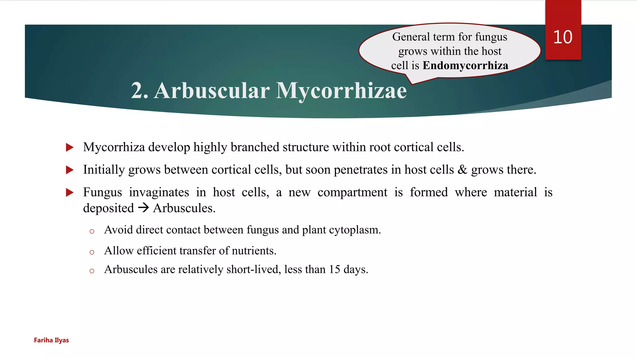 Mycorrhizal symbioses | PPTX