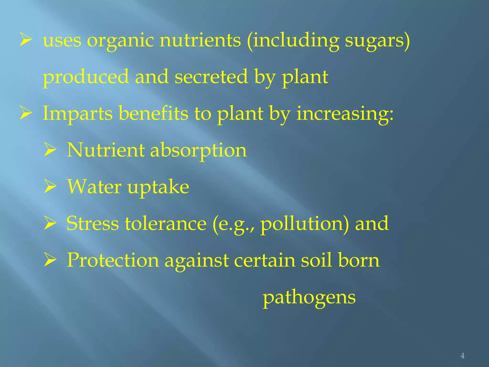 Mycorrhiza presentation for garizon university | PPTX