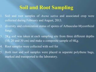 Mycorrhiza presentation for garizon university | PPT