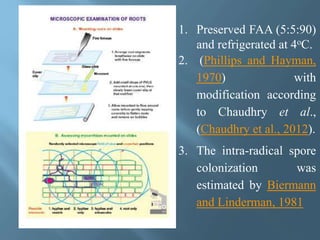 Mycorrhiza presentation for garizon university | PPT