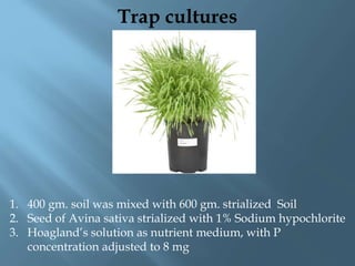 Mycorrhiza presentation for garizon university | PPT