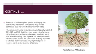 Mycorrhiza Vam and Am type and it's physiological and Ecological ...