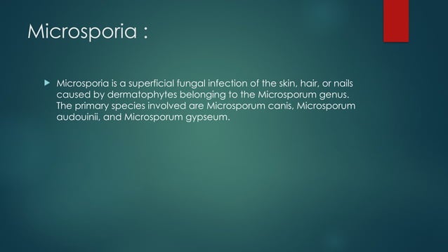 MYCOSES OF SMOOTH SKIN Mycoses of smooth skin (microsporia ...
