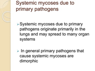 Mycosis | PPTX