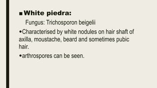 Mycosis-fungal diseases and basic information | PPT