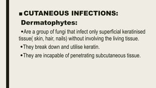 Mycosis-fungal diseases and basic information | PPT