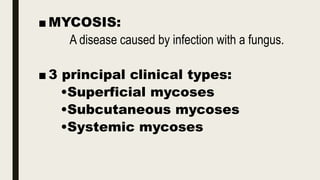 Mycosis-fungal diseases and basic information | PPT