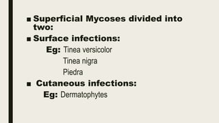 Mycosis-fungal diseases and basic information | PPT
