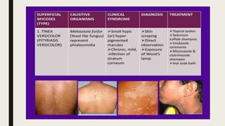 Mycosis-fungal diseases and basic information | PPT