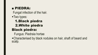 Mycosis-fungal diseases and basic information | PPT