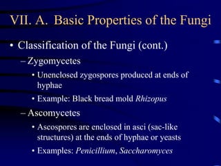 mycosis22_1.ppt