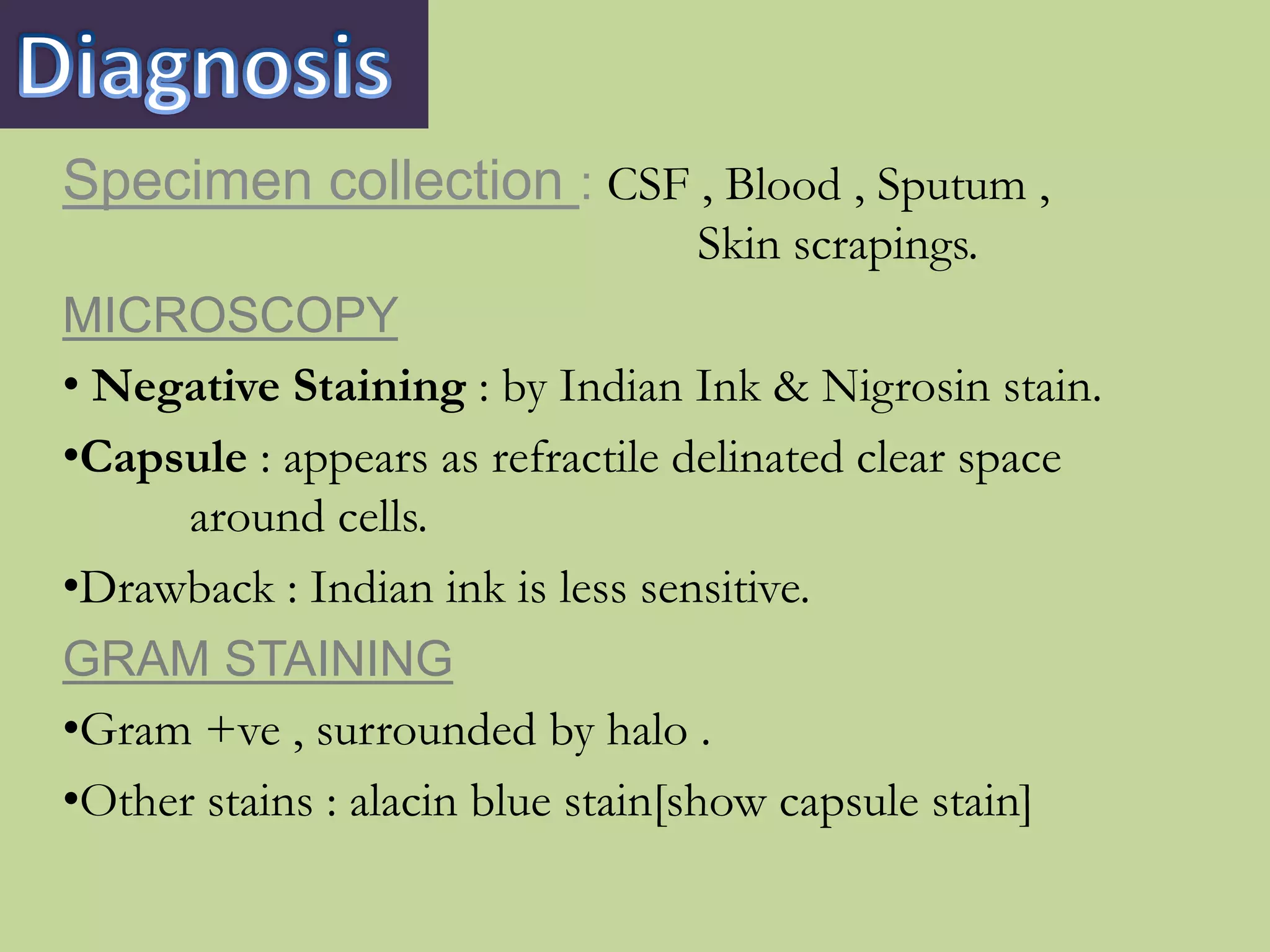 subcutaneous Mycosis & systemic mycosis | PPTX