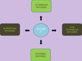 subcutaneous Mycosis & systemic mycosis | PPTX