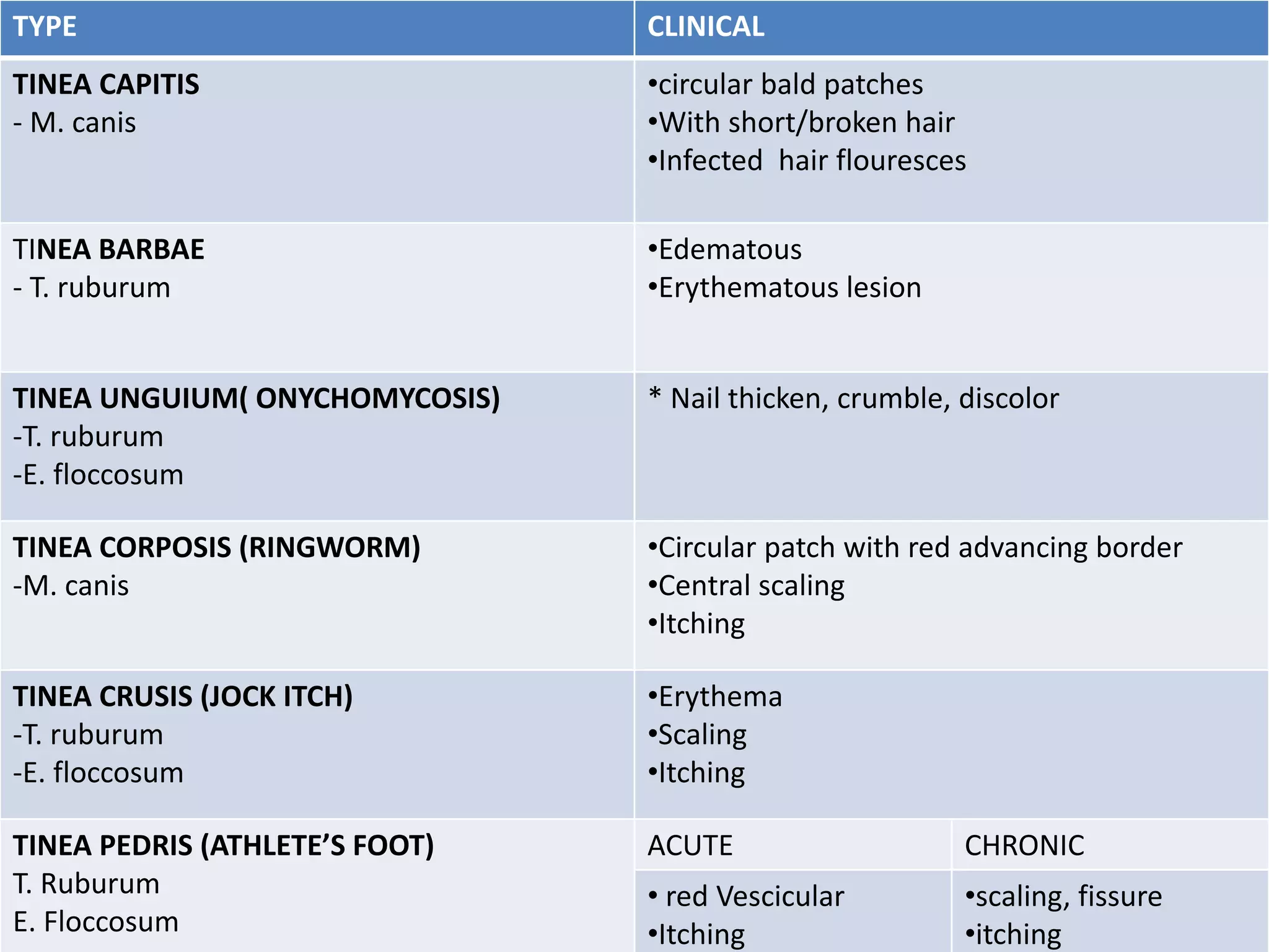 Mycotic(fungal) Infections | PPTX